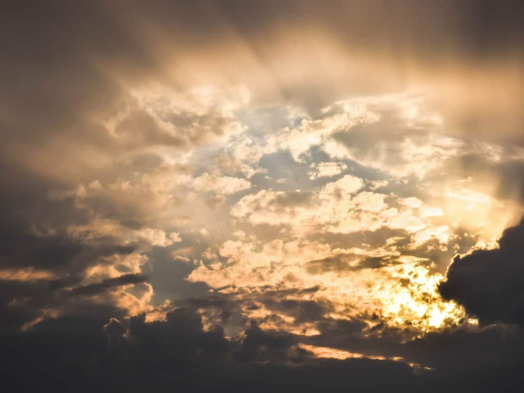Finding Hope | OICF